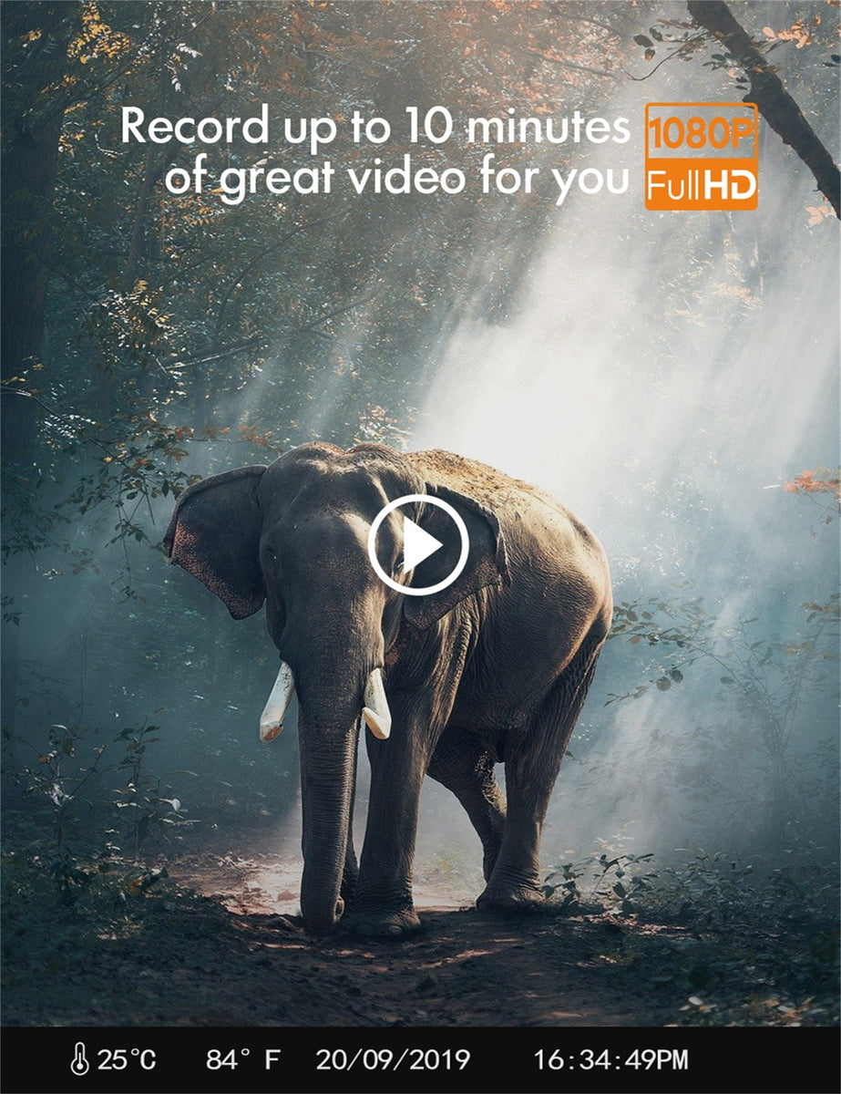 APEMAN H45 Wildkamera 16MP 1080P – Apeman DE